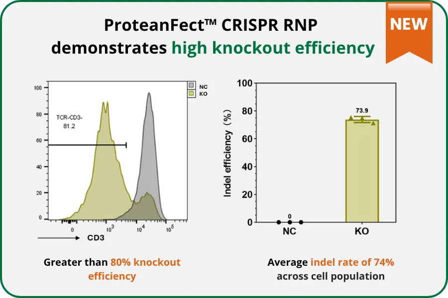 ProteanFect™ TuffCell Transfection Kit | OriGene Technologies Inc.