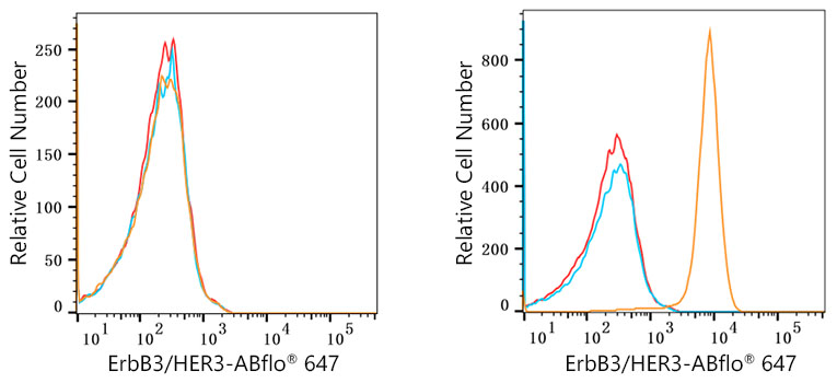 ERBB3 Rabbit Monoclonal Antibody [Clone ID: 7Q9F2] | TA427762 | OriGene ...
