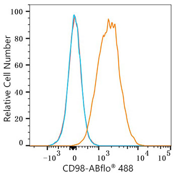 Slc3a2 Rabbit Monoclonal Antibody [Clone ID: 8M6I3] | TA427874 ...