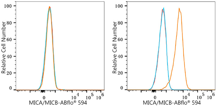 MICA Rabbit Monoclonal Antibody [Clone ID: 10N7J4] | TA428094 | OriGene ...